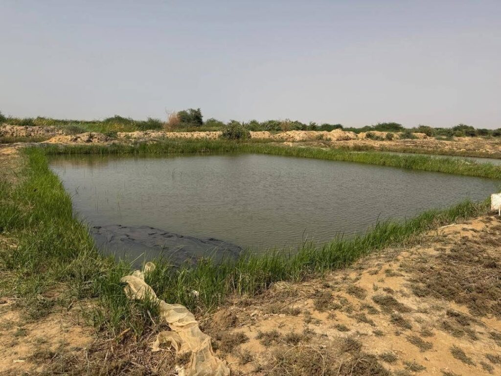 Développement de l’aquaculture au Sénégal : l’ANA et ses partenaires en ...