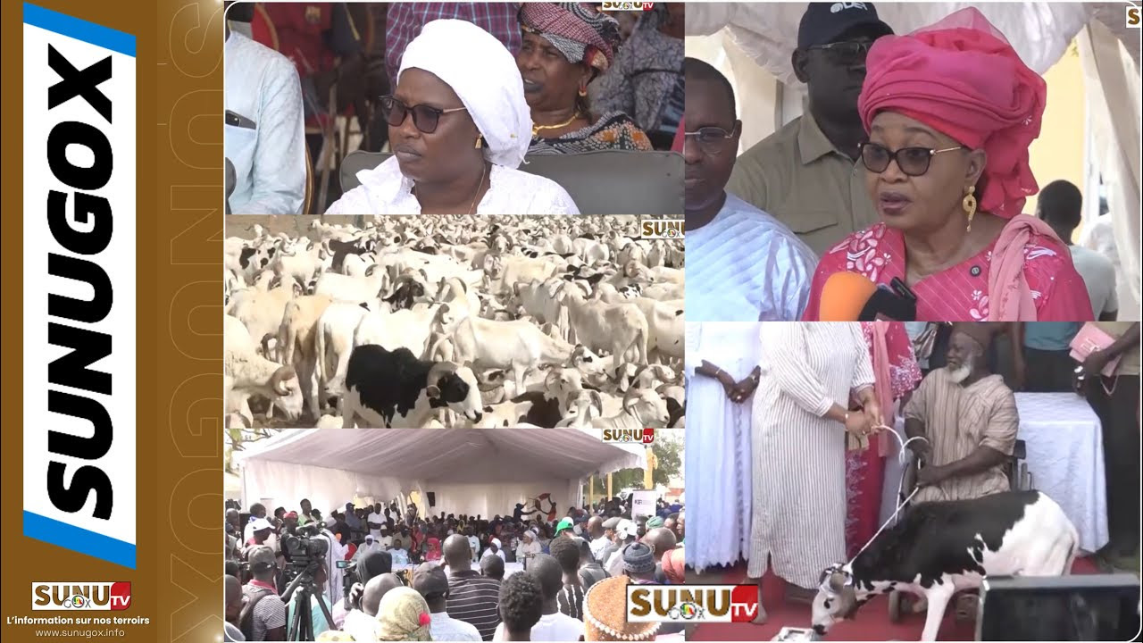 Tabaski 2025 : La DER mobilise 5 180 moutons pour accompagner les ...