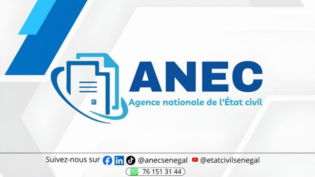 L’ANEC dévoile sa nouvelle identité visuelle : un symbole de ...