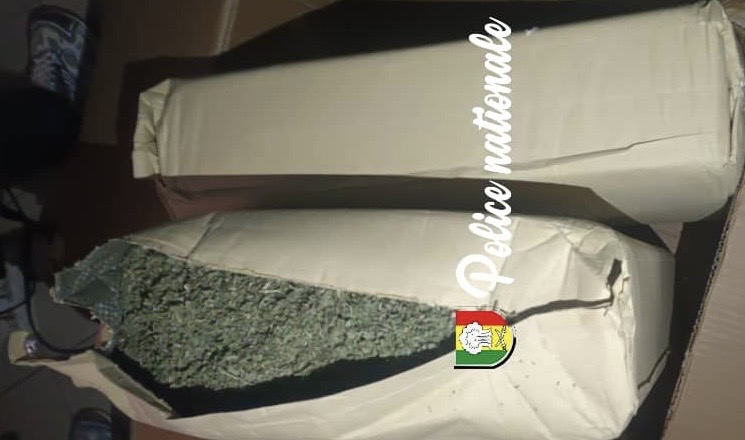 Trafic de kush/Grand Mbao–Asie : 17 kg interceptés à Dakar, un réseau ...